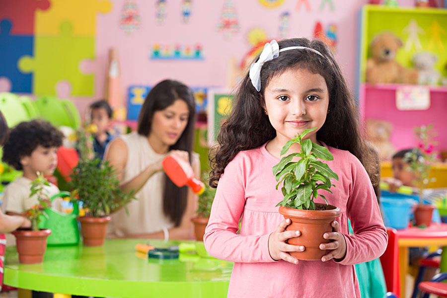 Rising Star 2 – The Nurturing Roots